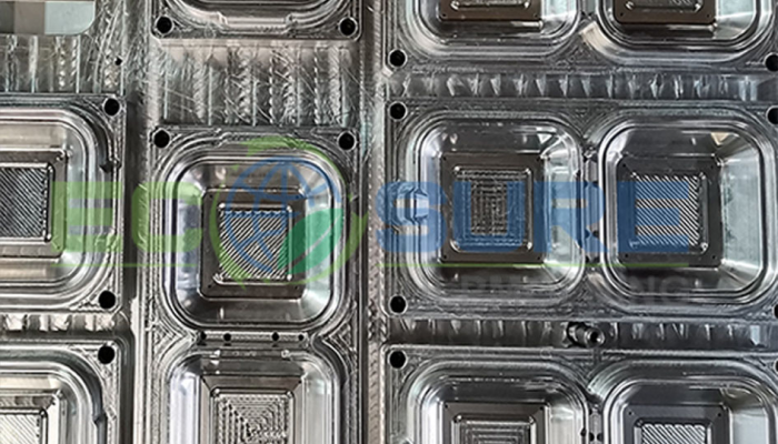 Ecosure pulpmolding Technologies Limited || Pulp Molding Moulds